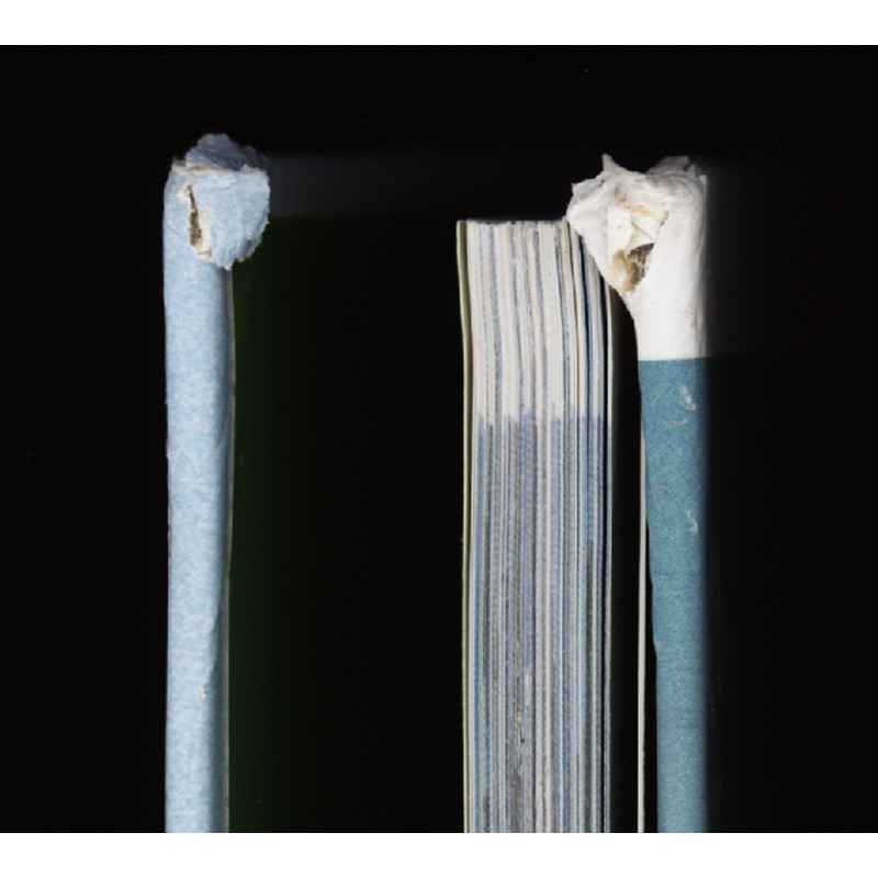 Southern Branch Lines